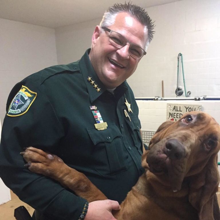 Sheriff Wayne Ivey’s Photos, Bio, and Briefing